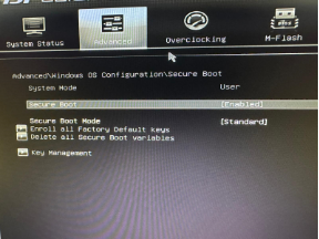 Protección de la BIOS/UEFI